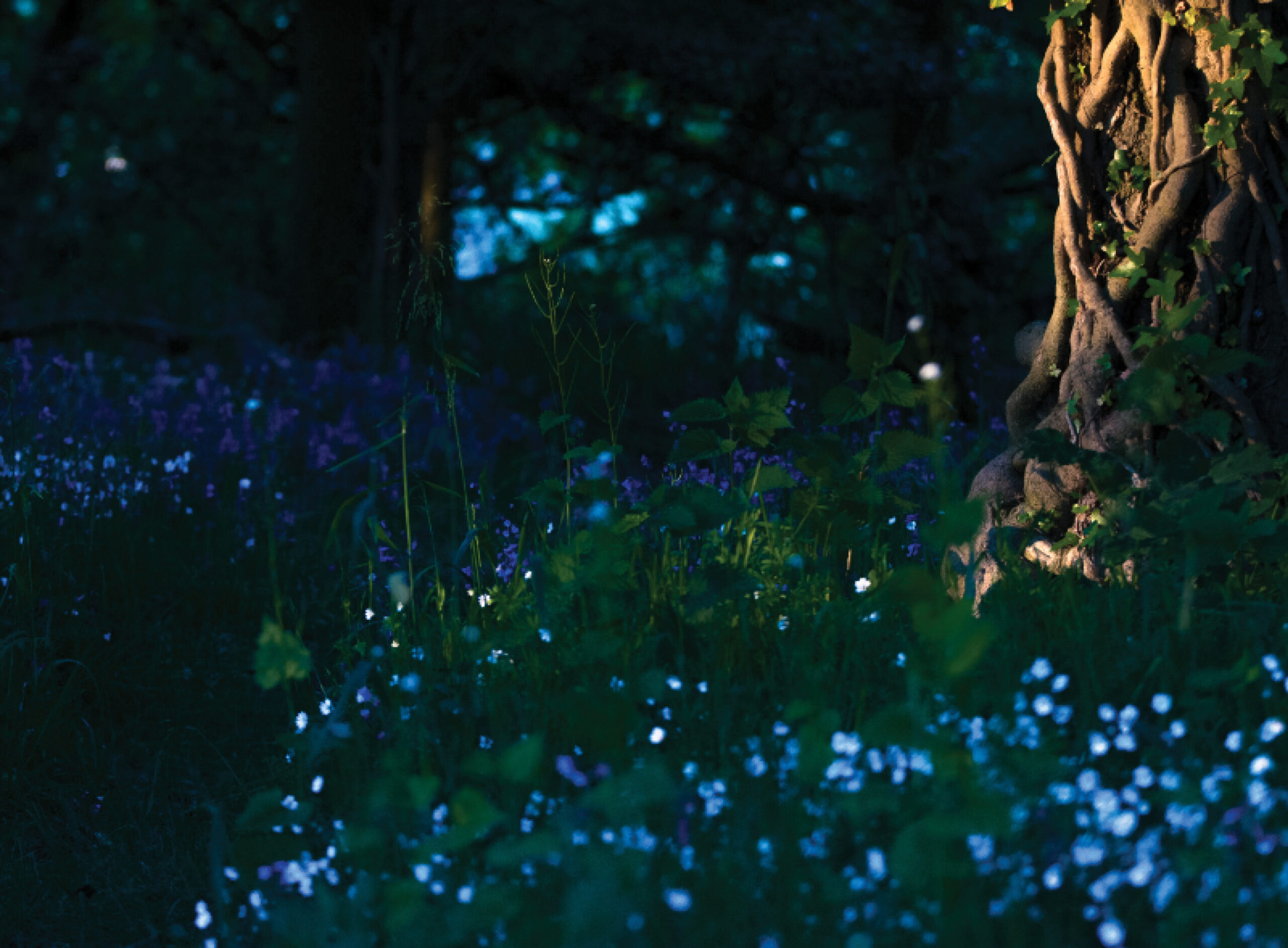 Tieri – a top little town | Central North Queensland